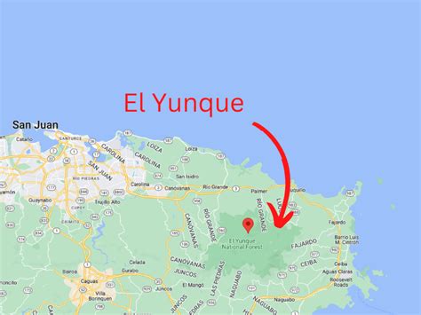 El Yunque National Forest Puerto Rico Guide