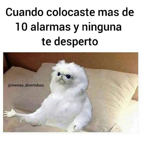 Si No Me Quisiste As No Me Busques As Memes