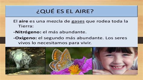 Conocemos La Importancia Del Aire Para Los Seres Vivos Youtube