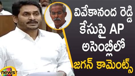 CM YS Jagan Comments On YS Vivekananda Reddy Case In AP Assembly YCP