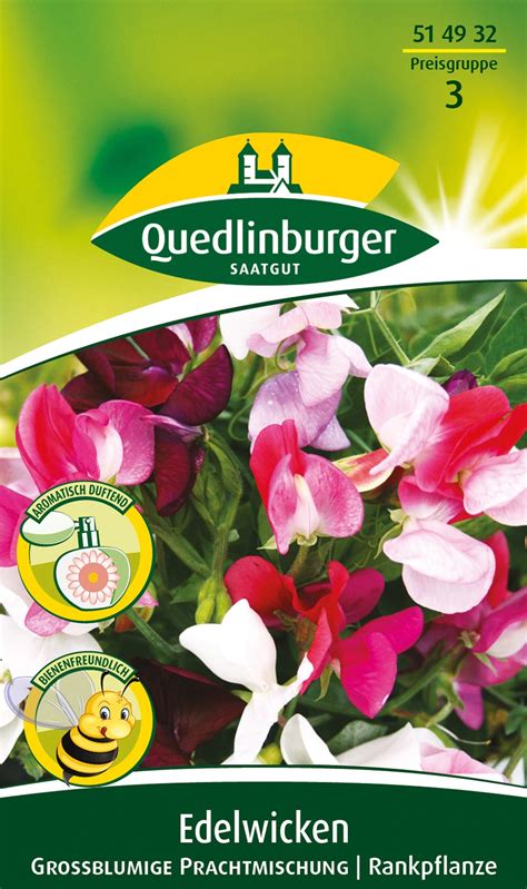 Quedlinburger Edelwicke großblumige Mischung kaufen bei OBI