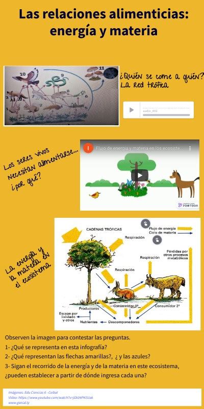 Flujo de energía y ciclo de la materia