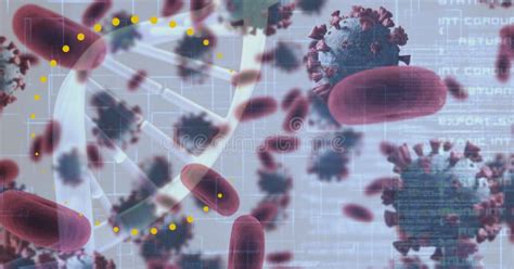 Coronavirus Blood Cells And Double Helix Over Data Processing