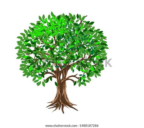 Tree Vector Illustrations Roots Mangrove Tree Stock Vector Royalty