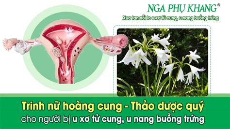 U xơ tử cung uống trinh nữ hoàng cung Hiểu về căn bệnh và liệu pháp