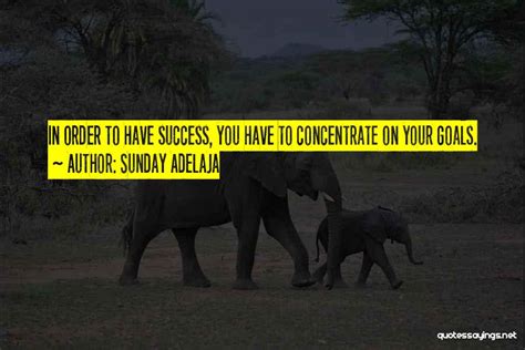Top Concentrate On Your Goals Quotes Sayings