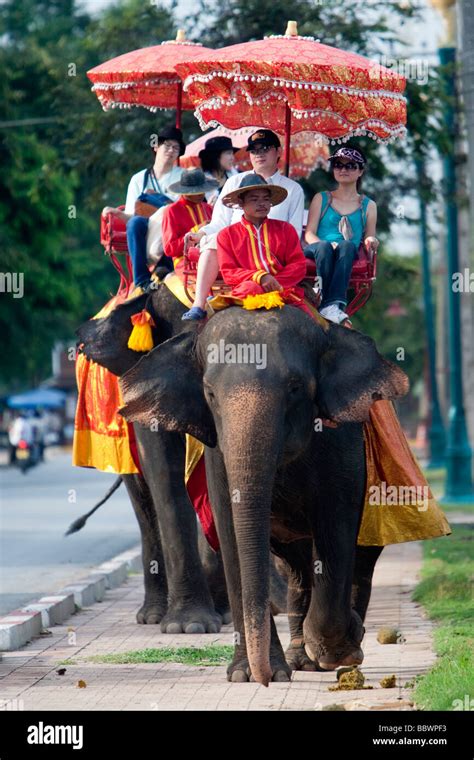 Costume Elephants Ayutthaya Thailand Stock Photo Alamy