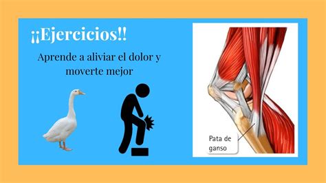 Cómo curar la TENDINITIS de la PATA DE GANSO Ejercicios