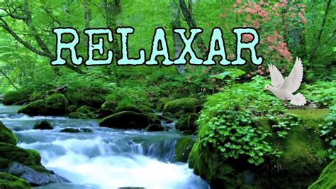 Música Relaxante Sons da Natureza Acalmar a Mente e Relaxar YouTube