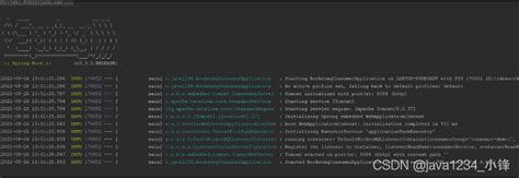 4 springboot整合rocketmq实现消息发送和接收 spring集成rocketmq consumer收不到消息 csdn博客