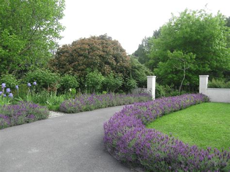 20 Driveway Landscape Designs The Patio Company