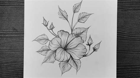 Hibiscus Flower Drawing Easy How To Draw A Hibiscus Flower Flower