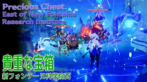 Precious Chest West Of New Fontaine