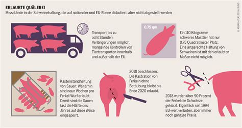 Tierhaltung in Deutschland Wunsch und Wirklichkeit Heinrich Böll