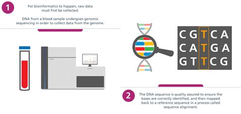 what is bioinformatics genomics education programme