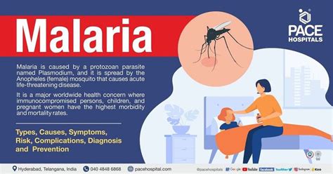 Malaria Symptoms Causes Types Risk Factors Complications