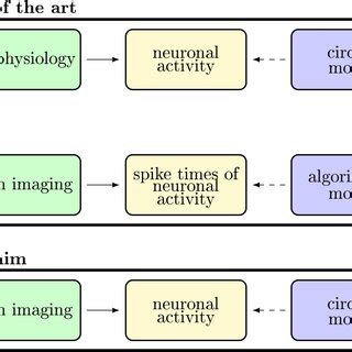 Overview Of Mimicking Measured Neuronal Activity Depending On The
