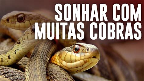 SONHAR MUITAS COBRAS Significado e interpretações É MORTE YouTube