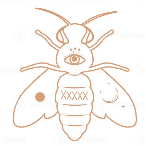 símbolo de signo del tarot atl 11664896 PNG
