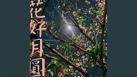 花好月圓 YouTube