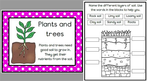 Soil Layers Worksheet