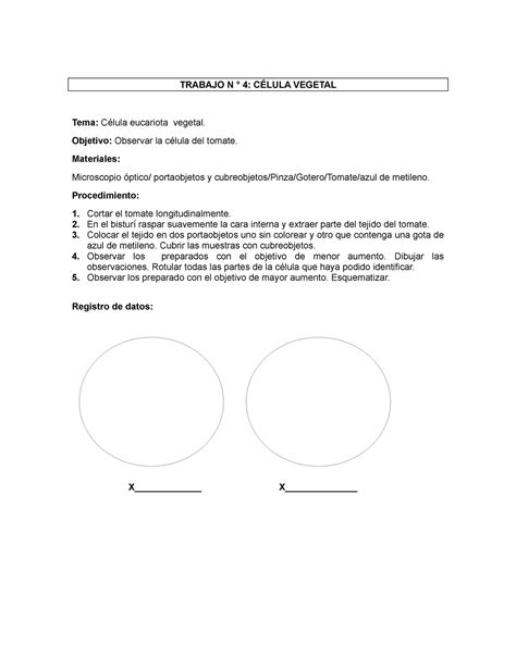 Tomate Informe TRABAJO N 4 CÉLULA VEGETAL Tema Célula eucariota