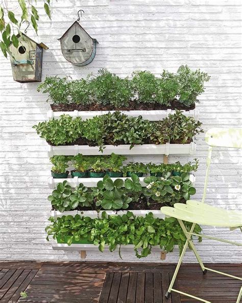 20 Vertical Vegetable Garden Ideas Home Design Garden
