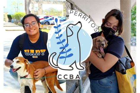 La Jornada Maya Yucatán La Jornada Maya Perritos CCBA el grupo