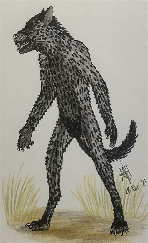 Dia La Evolucion Del Nahual By Walter On Deviantart Off