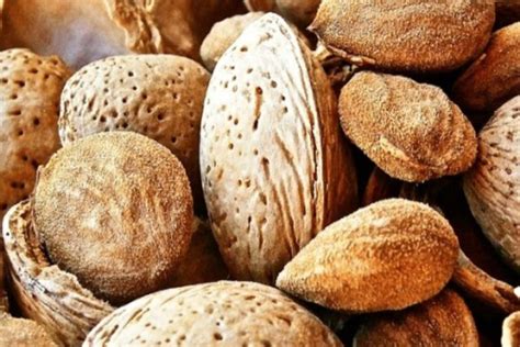 8 Recomendaciones Para Comer De Manera Saludable EsVivir