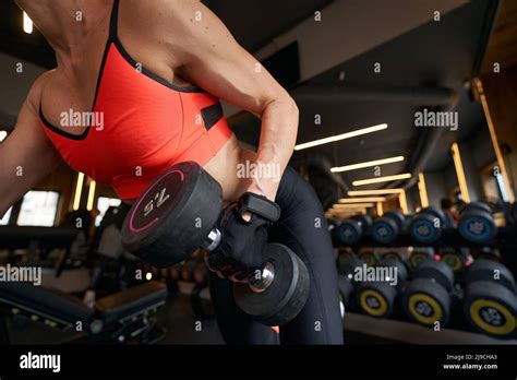 One Arm Dumbbell Row Vs Barbell Bent Over Row Horton Barbell