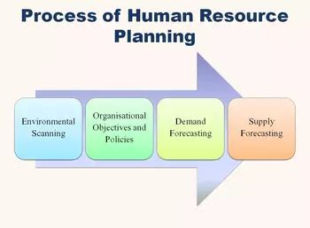 Process Of Human Resource Planning HRM