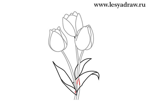 Tulpen Selber Zeichnen Schritt F R Schritt Anleitungen