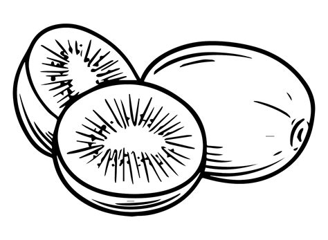 31 Kiwi Fruit Coloring Pages ColoringPagesOnly