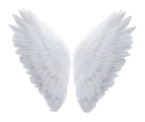 Alas De Ngel Blanco Aisladas Sobre Fondo Blanco Ia Generativa Foto