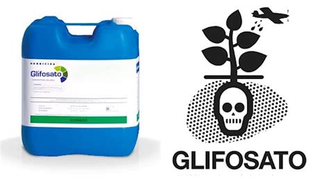 Glifosato Nombre comercial qué es para qué sirve y más