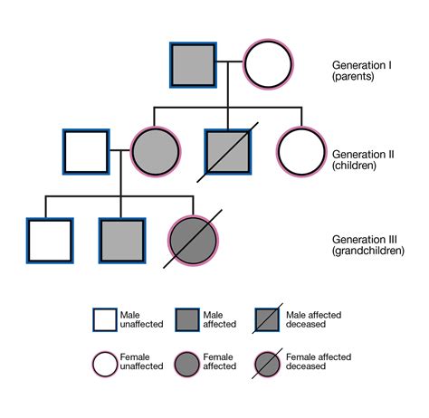 Pedigree How To Create A 3 Generation Pedigree Viquepedia