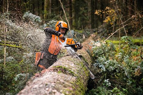 Ms I Benzin Motors Ge Online Kaufen Stihl