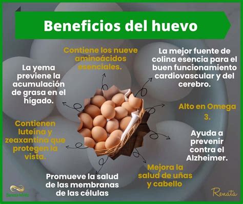 Beneficios Del Huevo Bienestar Infinito