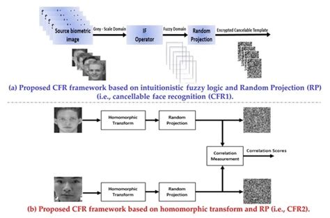 electronics free full text efficient implementation of homomorphic and fuzzy transforms in