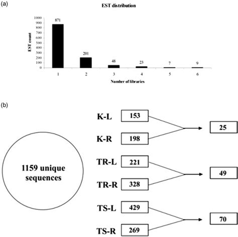 distribution of expressed sequence tags ests in six subtracted cdna download scientific