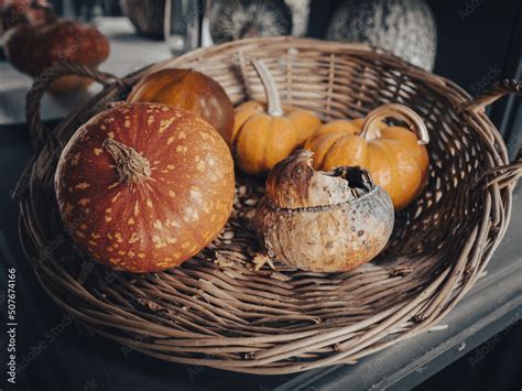 Photographie de nature morte composé de citrouilles et autres