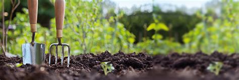 Agricultura ecológica divulgación dinámica