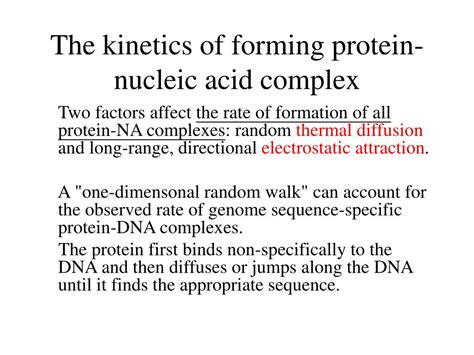 PPT Protein Nucleic Acids Interaction PowerPoint Presentation Free