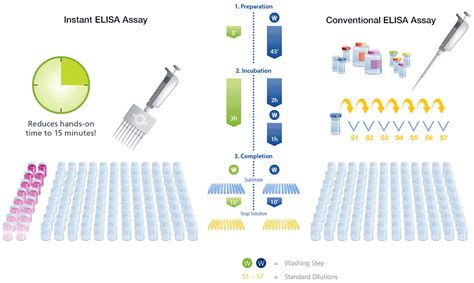 Overview Of ELISA Thermo Fisher Scientific UK