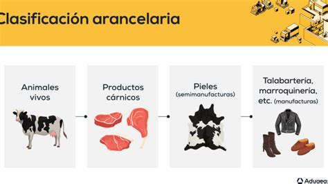 Ejemplos De Caricaturas Políticas Que Marcaron La Historia