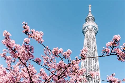 5 Rekomendasi Tempat Wisata Di Jepang