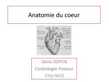 el viento es fuerte prestar Dolor anatomie du système nerveux ppt