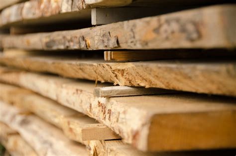 GRUPO GÁMIZ renovará su aserradero por completo Madera sostenible es