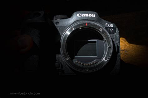 We Review The Canon EOS R7 How Does It Perform For Casual 48 OFF